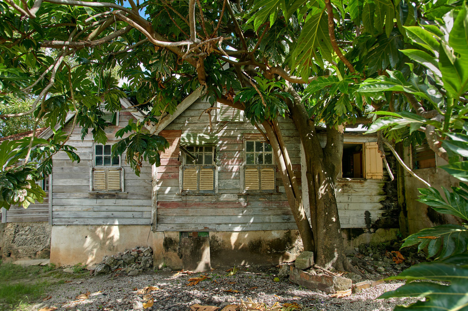 CHATTEL HOUSES OF BARBADOS - HENRY BOURNE
